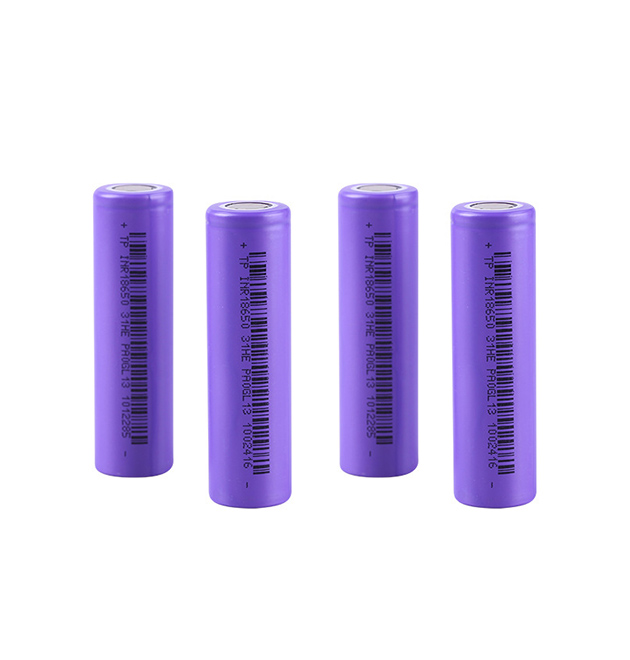 TENPOWER 18650 3200mAh Lithium Battery - EnergyBank