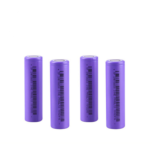 TENPOWER 18650 3200mAh Lithium Battery - EnergyBank
