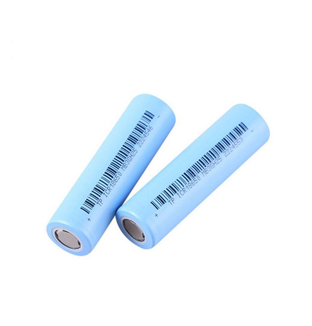 TENPOWER 18650 2600mAh Lithium Battery - EnergyBank